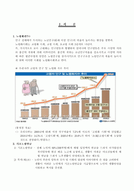 [연금] 기초노령연금 -1페이지