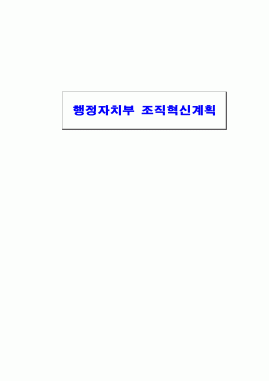 행정자치부 조직혁신 계획에 대한 모든 것-1페이지