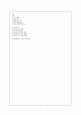 스키의 이해 [예체능] -1페이지