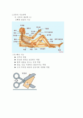 근육심리학에대해서-1페이지