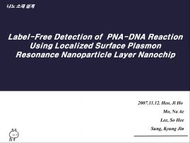 나노 소재 설계 발표자료 - LSPR을 이용한 DNA detection (Nanoparticle Layer Nanochip)-1페이지