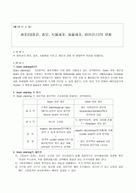 [공학]Gram staining (세포 관찰) - 예비.결과 보고서-1페이지