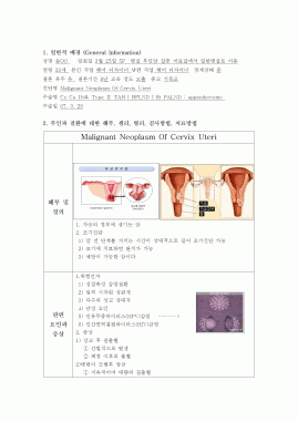 부인병동 실습, 자궁경부암 간호중재-1페이지