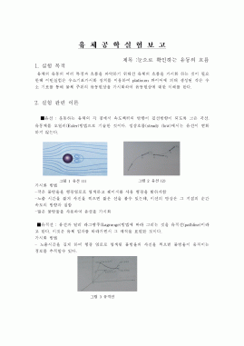 유동의가시화 실험-1페이지