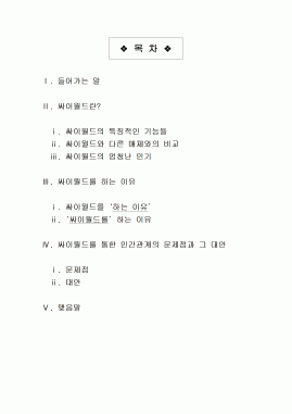 싸이월드를 하는 이유-1페이지