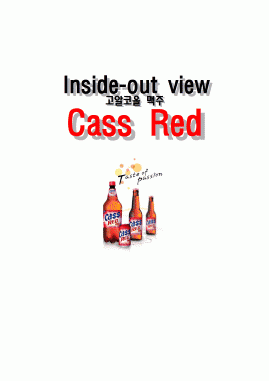 카스 레드 마케팅(Cass red)-1페이지