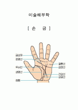 미술해부학-1페이지