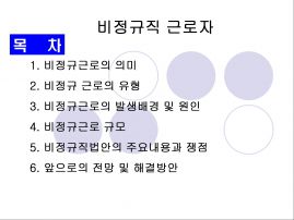 (사회불평등) 비정규직 근로자-1페이지