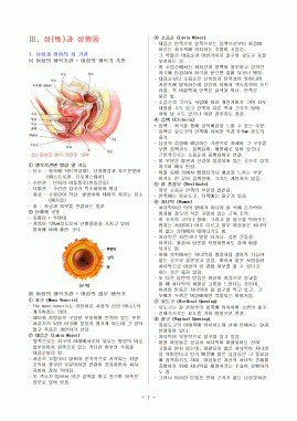 [분석/조사] 성과 사랑 -1페이지