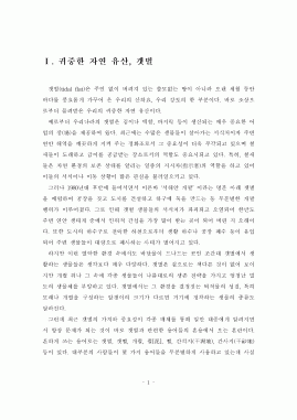 [환경학 A+] 갯벌 생태계를 위협하는 환경 문제 및 보존 대책-1페이지