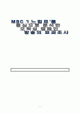 MBC 느낌표의 오락성 캠패인에 대한 방송 효과 조사-1페이지