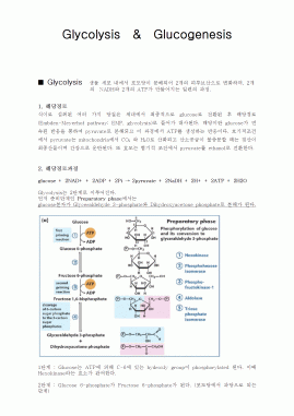 Glycolysis  &  Gluconeogenesis-1페이지