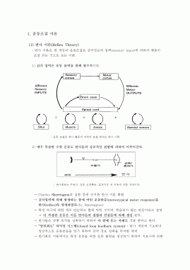 운동조절 이론과 신경학-1페이지