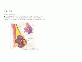 수유기 영양에 대한 조사자료-1페이지