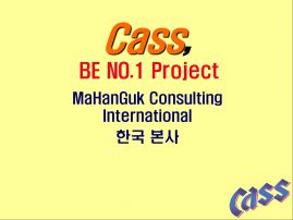 카스(CASS) 마케팅사례분석-1페이지