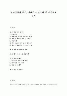 [청년실업][청년실업문제][실업문제][실업][노동시장정책][실업정책][실업대책][실업대란][청년실업대책]청년실업의 원인, 청년실업의 실태, 실업에 따른 노동시장정책, 실업정책의 대안, 장단기 실업대책 분석-1페이지