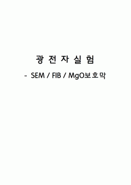 sem 실험 레포트 FIB MgO보호막-1페이지