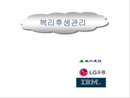 복리후생제도(현대건설, LG유통, IBM)-1페이지