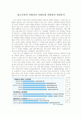 광고 시장의 사회문화적 분석-1페이지