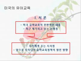 미국의 유아교육go-1페이지