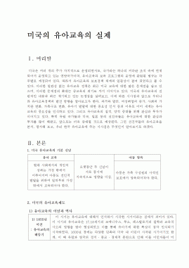 미국의 유아교육의 실제fp-1페이지