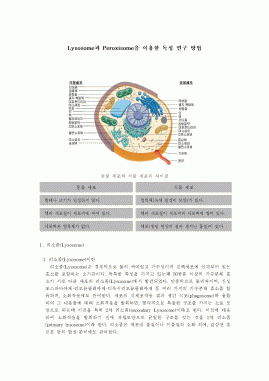 Lysosome과 Peroxisome을 이용한 독성 연구 방법-1페이지