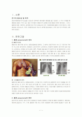 [논문] 폐렴 pneumonia-1페이지