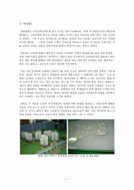 용인 마북 e-편한세상 현장 감상문-1페이지