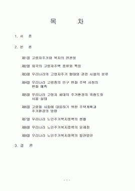 노인 주거 복지정책-1페이지