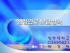 청정연료보급정책-1페이지