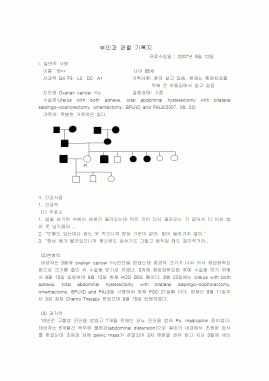 간호학 실습 리포트 - 난소암(Ovarian cancer) 대상자 실습 -1페이지