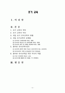 조기교육의 문제점과 해결방안-1페이지