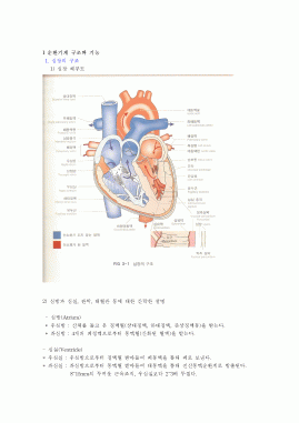 심혈관계 요약정리-1페이지