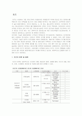 치즈에 관한 조사 정리-1페이지