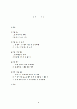 21세기 문화정책의 방향-1페이지