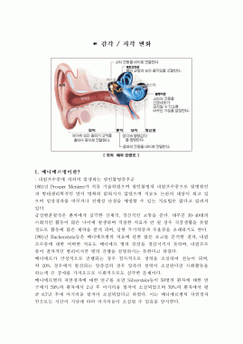 (건강문제와 간호) 감각 / 지각 변화-1페이지