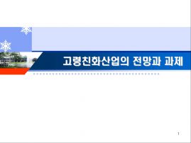 고령친화산업의 전망과 과제-1페이지