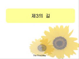 앤서니 기든스의 제 3의 길-1페이지