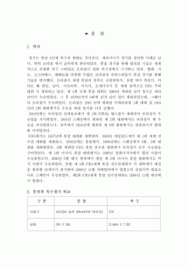 풋살에 대하여-1페이지