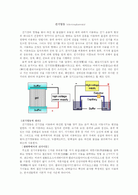 전기영동 생화학에서의 전기이동 전기영동의 종류 등전 접속 전기영동의 원리-1페이지