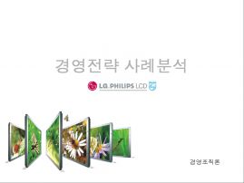 LCD 시장 & LG 필립스 경영전략 사례분석(PPT) -1페이지