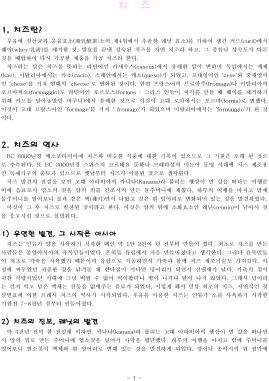 치즈에 대한 조사-1페이지