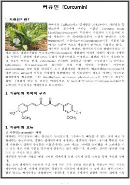 커큐민(Curcumin)의 화학적 구조와 효능-1페이지