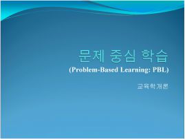 문제중심학습(Problem-Based Learning) 연구 -1페이지