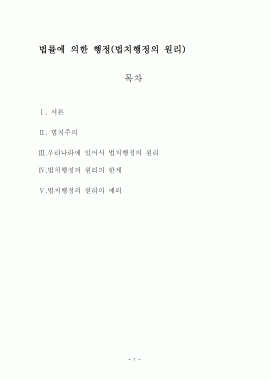 법률에 의한 행정(법치행정의 원리)-1페이지