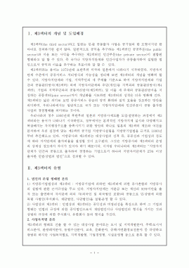 공기업론 제3섹터-1페이지