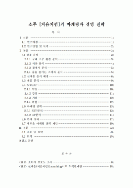 [경영학]소주‘처음처럼’의 마케팅과 경영전략-1페이지