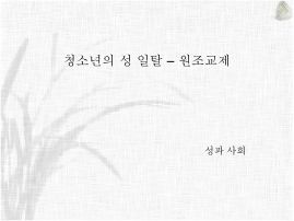 청소년 성일탈, 원조교제문제에 대해-1페이지