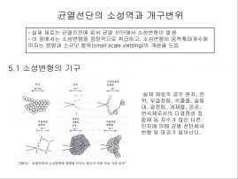 파괴역학(균열선단의 소성역과 개구변위)-1페이지