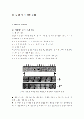 철근 콘크리트 보의 전단 설계 기본 핵심 이론-1페이지